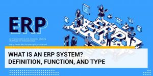 ERP System: Definition, Function, and Types